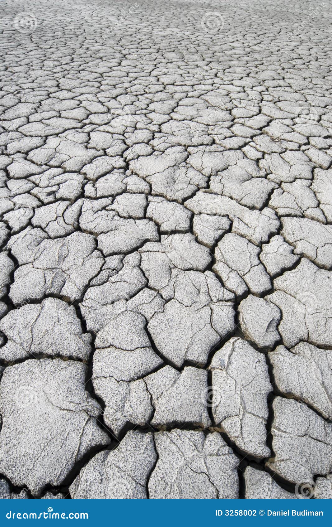 Scorched land wide shot stock photo. Image of desert, arid - 3258002
