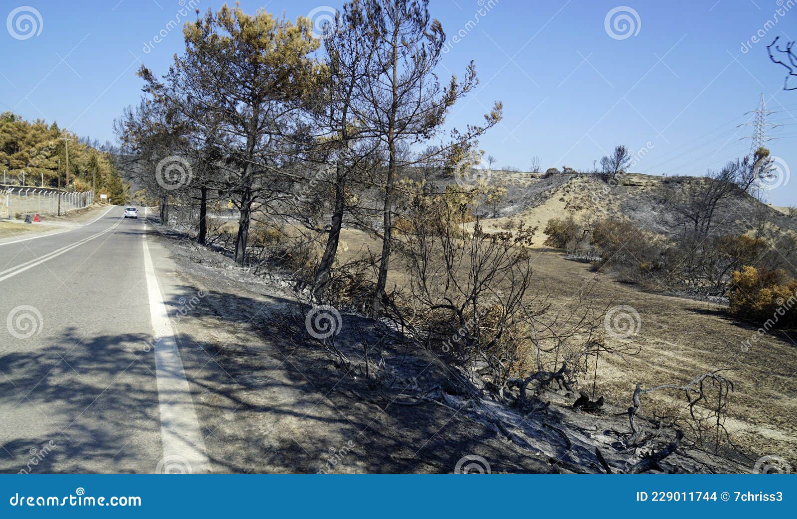 Scorched Landscape on Rhodes Island after Forest Fire Stock Photo ...