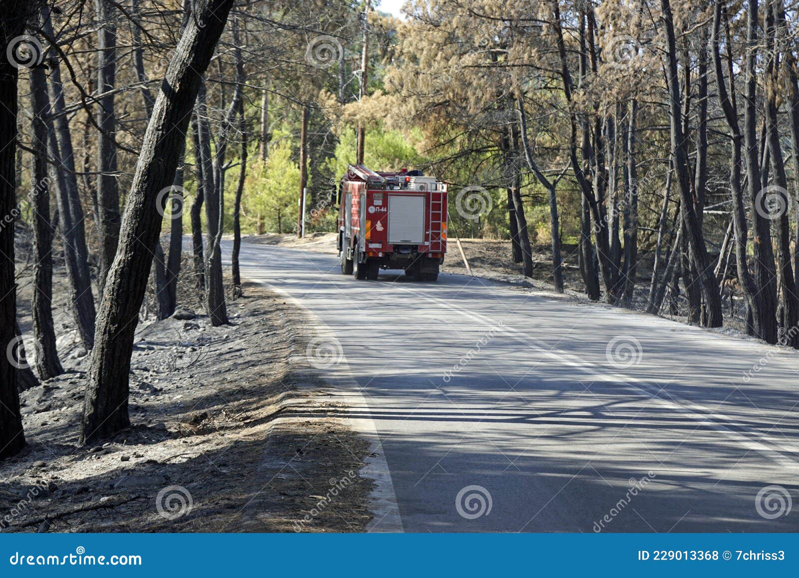 Scorched Landscape on Rhodes Island after Forest Fire Editorial Stock ...