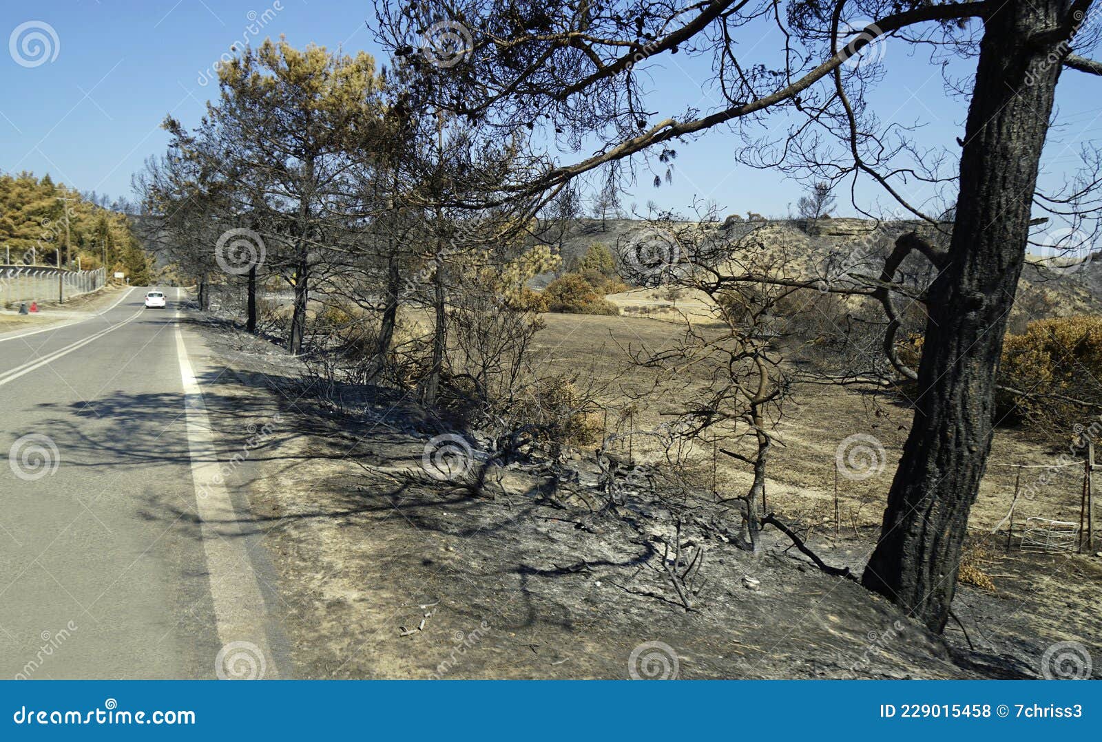 Scorched Landscape on Rhodes Island after Forest Fire Stock Photo ...