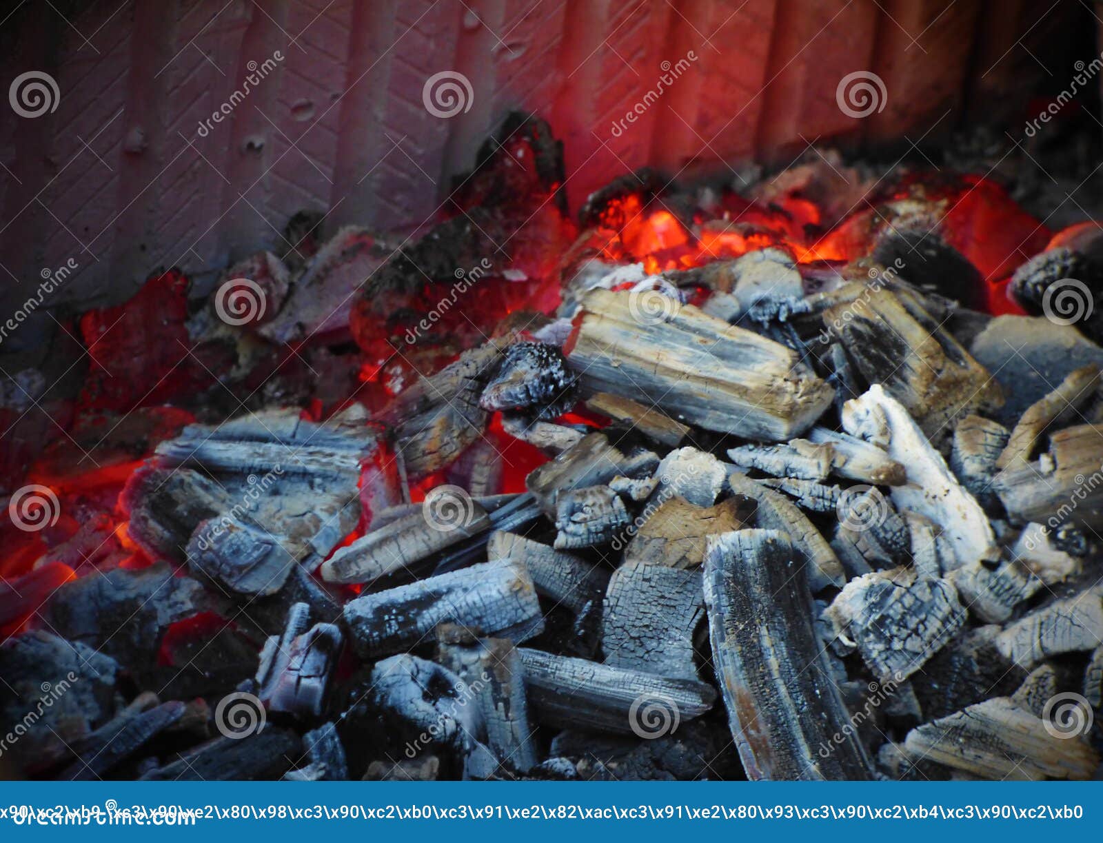 Scorched Particles of Trees Stock Image - Image of heat, danger: 97843573