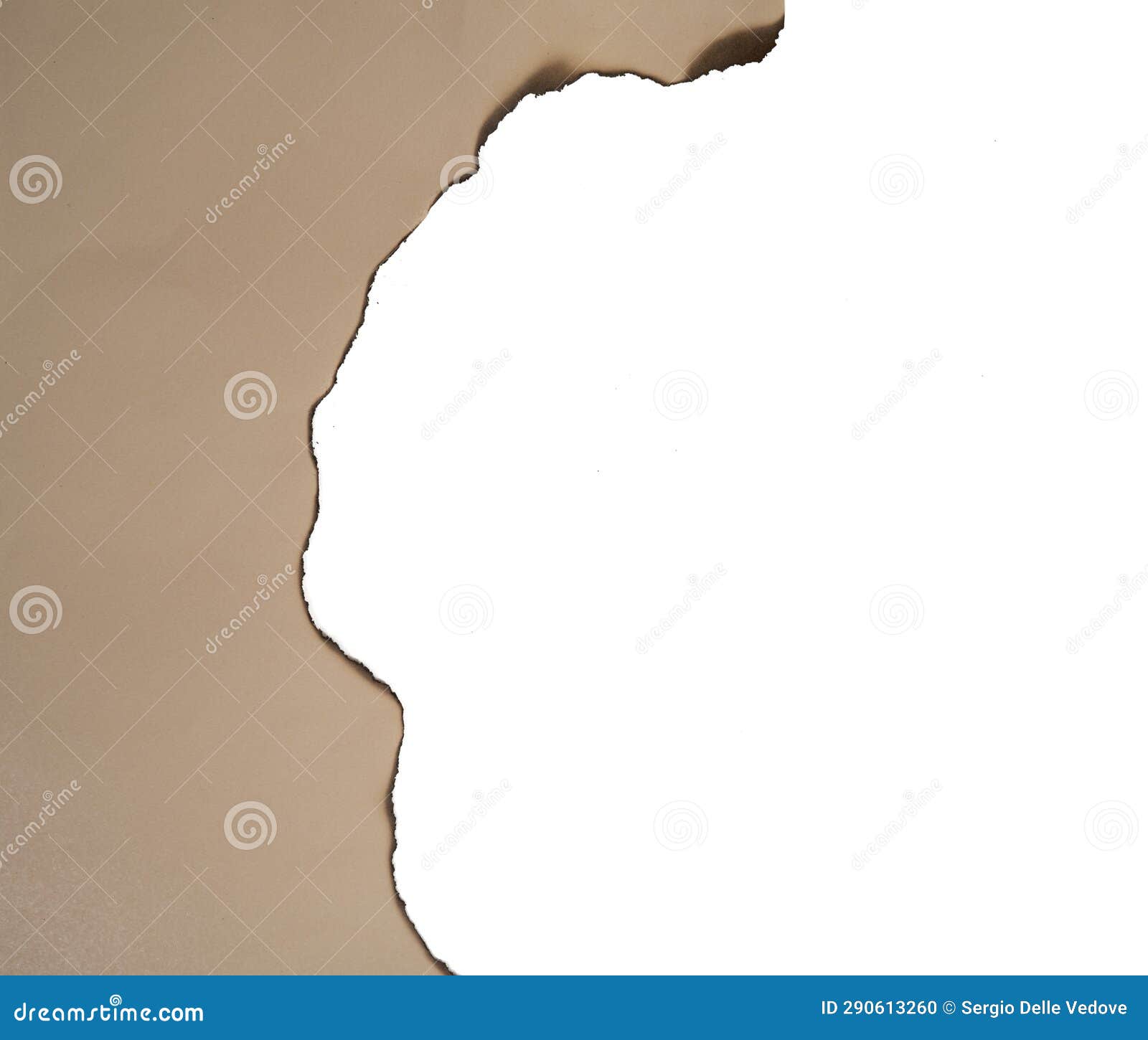 A scorched sheet of paper stock photo. Image of background - 290613260