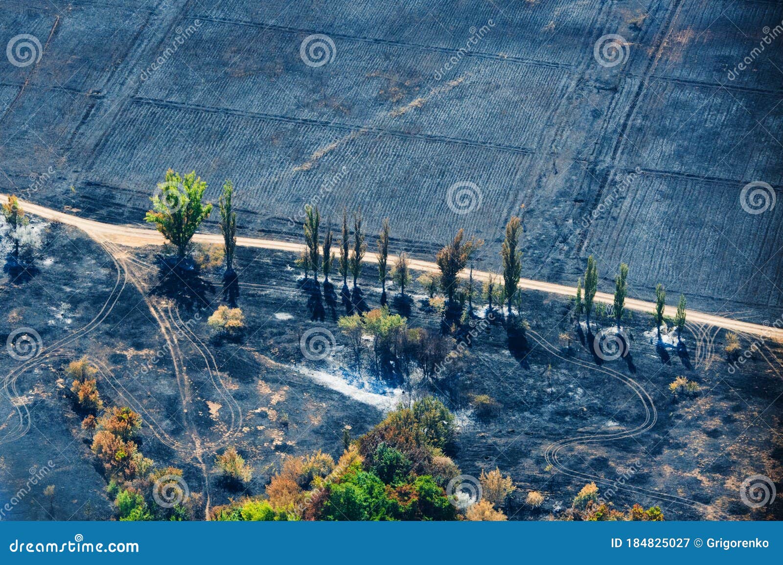 Scorched Trees and Grass after the Fire. Aerial View Stock Image ...