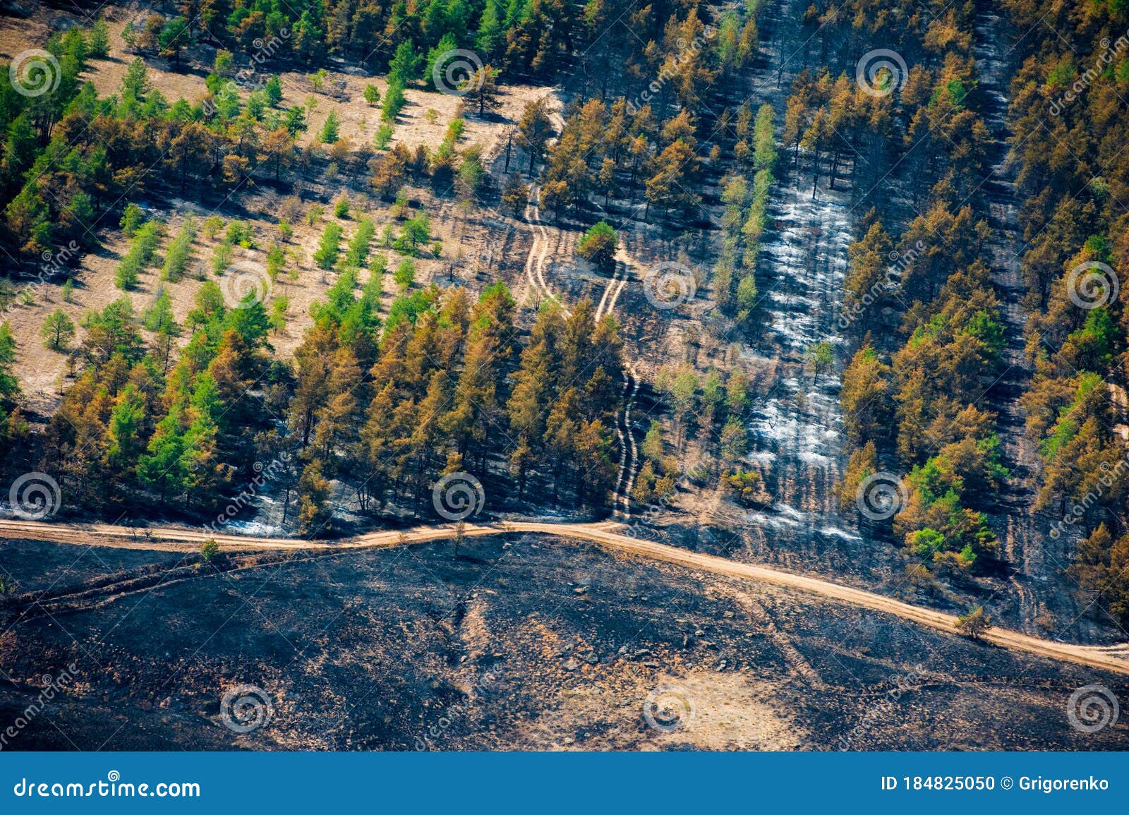 Scorched Trees and Grass after the Fire. Aerial View Stock Photo ...