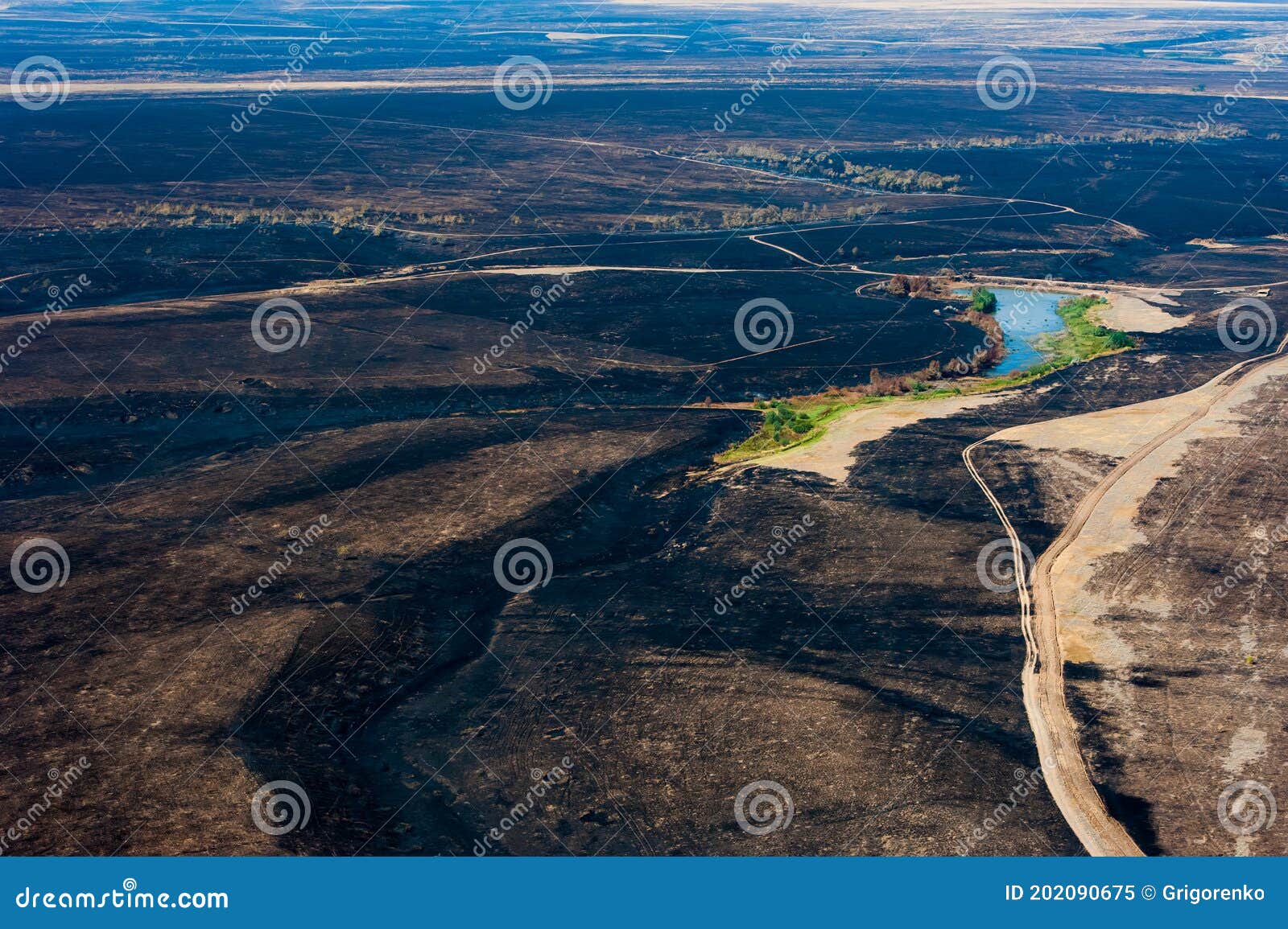 Scorched Trees and Grass after the Fire. Aerial View Stock Image ...