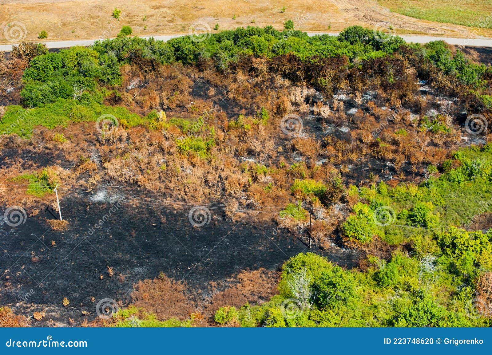 Scorched Trees and Grass after the Fire. Aerial View Stock Photo ...