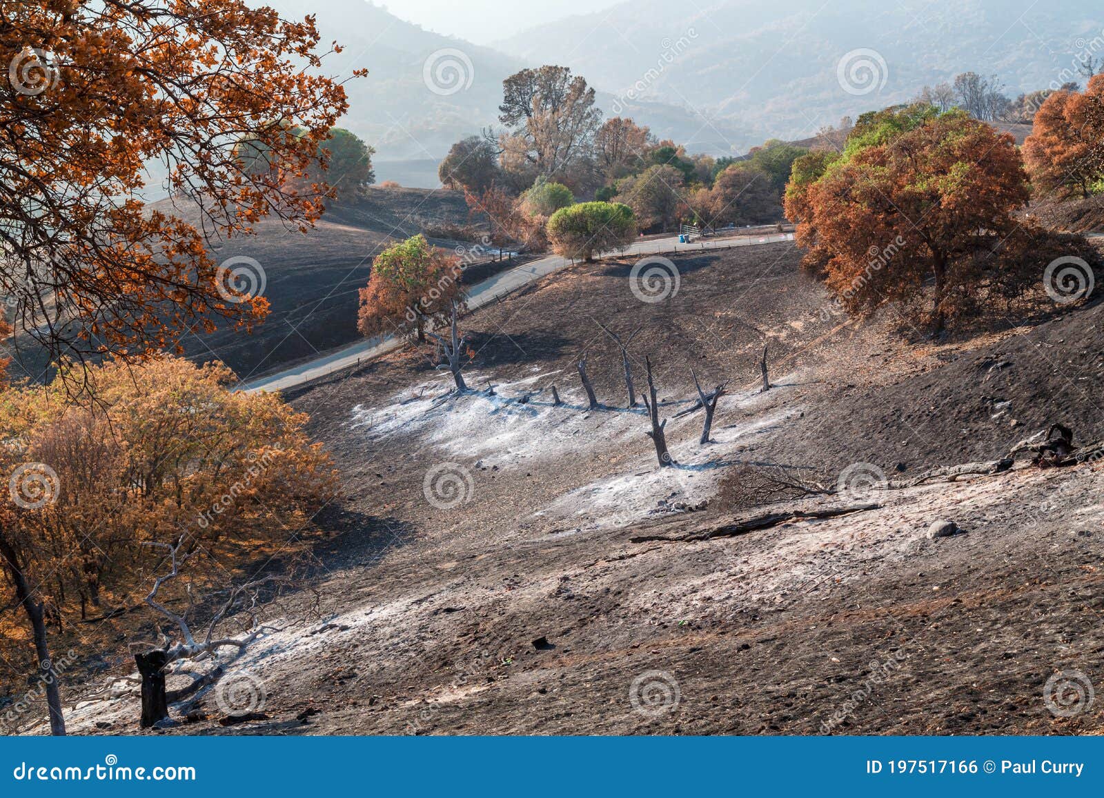Obliterated by Wildfire during Extreme Heatwave Stock Photo - Image of ...