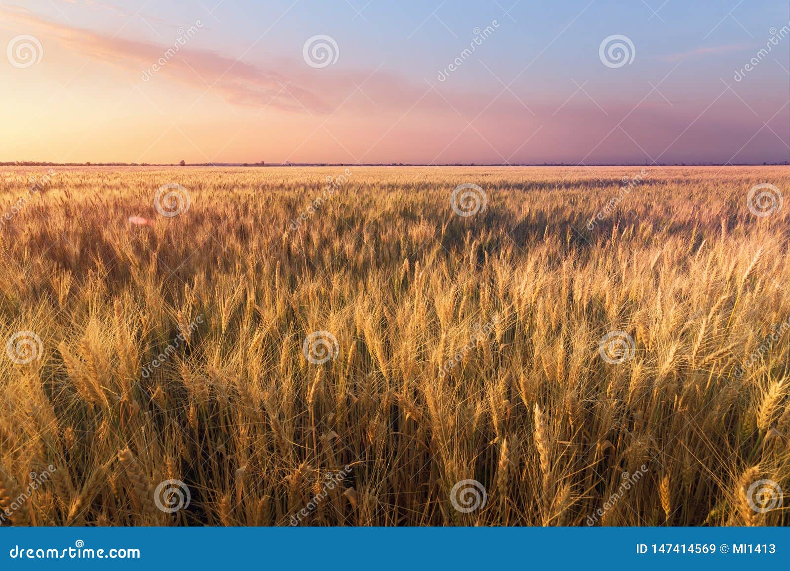 Sun In Scorching Summer Day In Heat Wave Royalty-Free Stock Photo ...