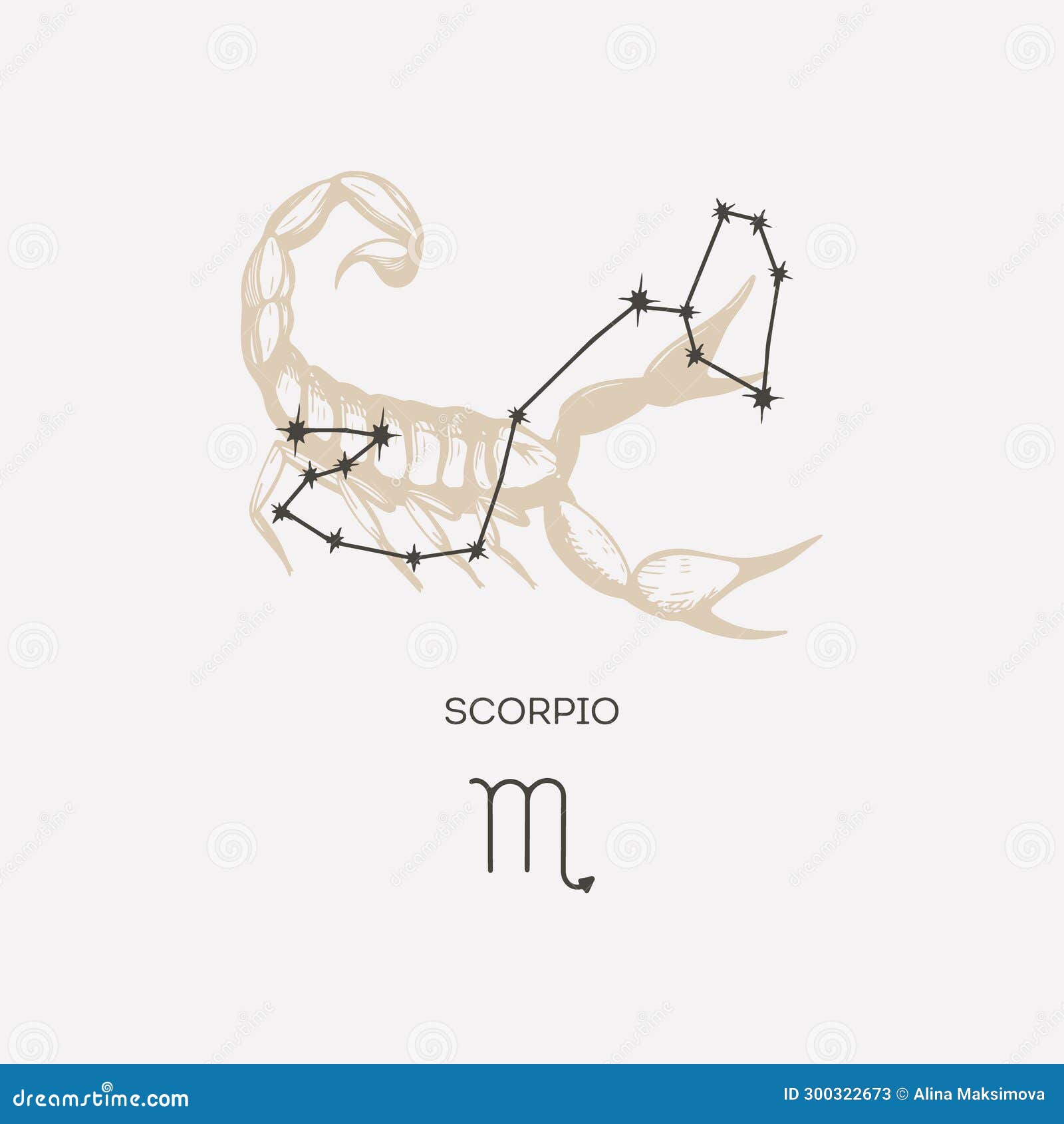 Scorpio Constellation Vector Illustration Stock Illustration ...