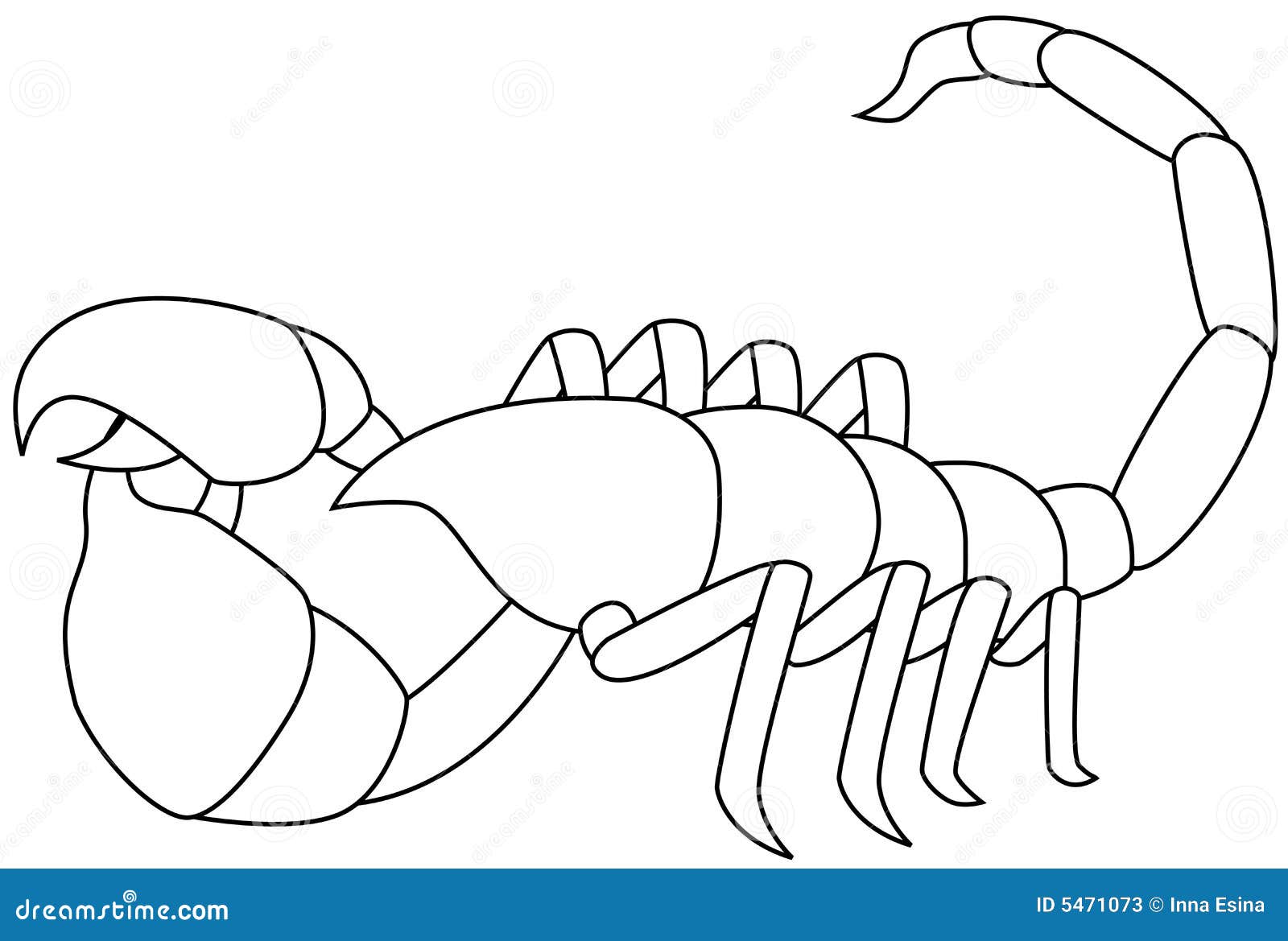 Scorpion Creepy Astrology Sign Vector Illustration. Danger Animal ...