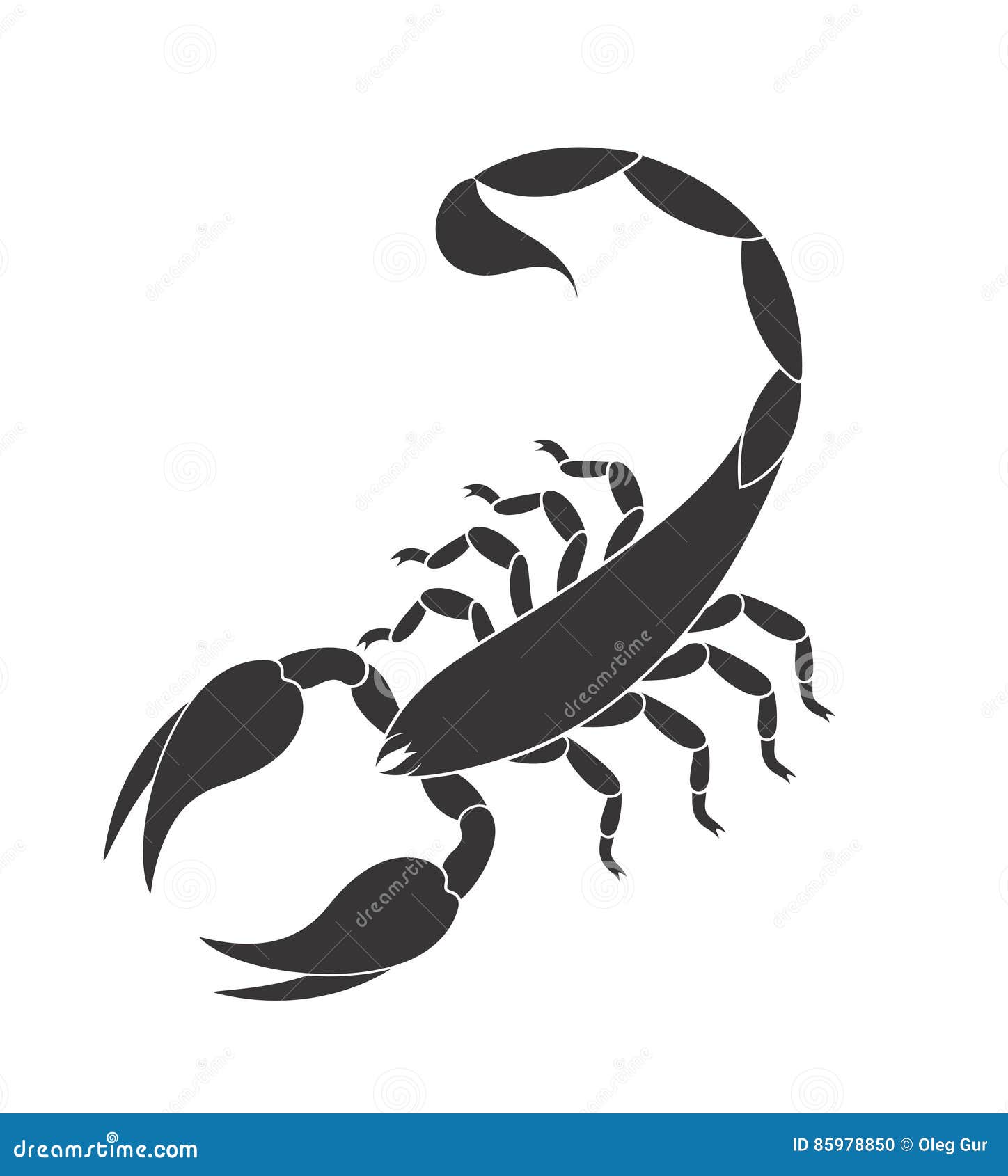 Scorpion. Animal stock vector. Illustration of banner - 85978850