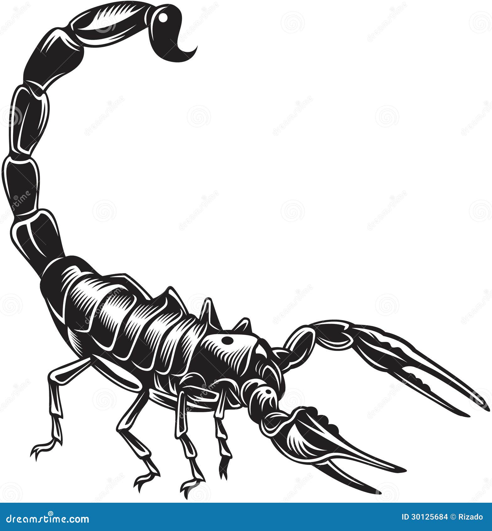 How To Draw A Scorpion Tail
