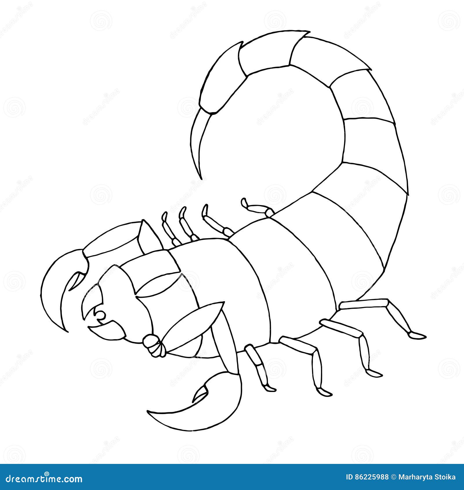 Scorpion Coloring Vector For Adults | CartoonDealer.com #78255727