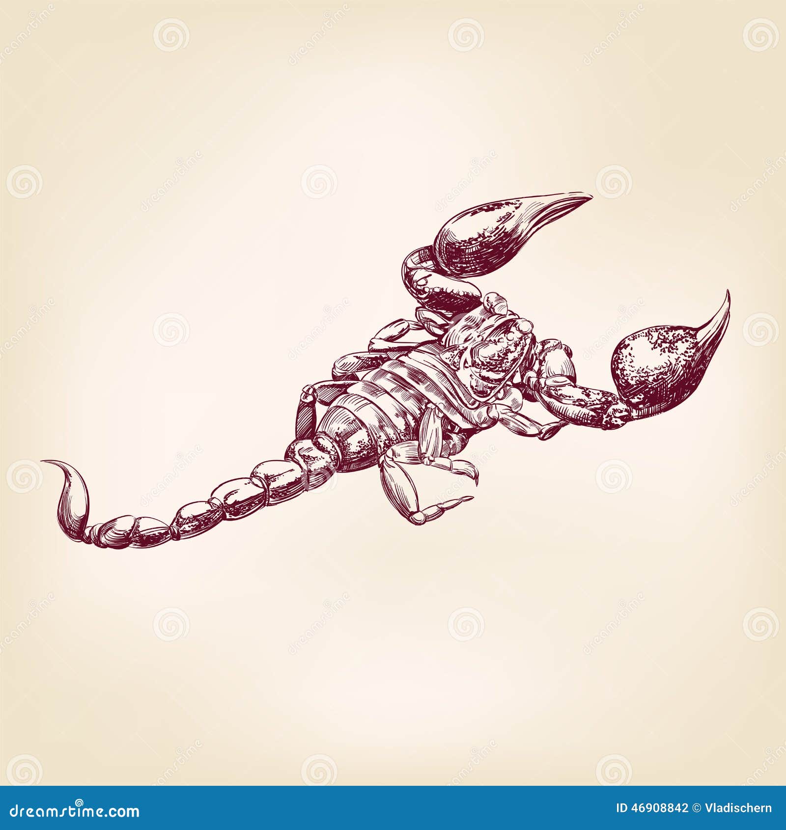 Scorpion Hand Drawn Vector Llustration Stock Vector - Illustration of ...