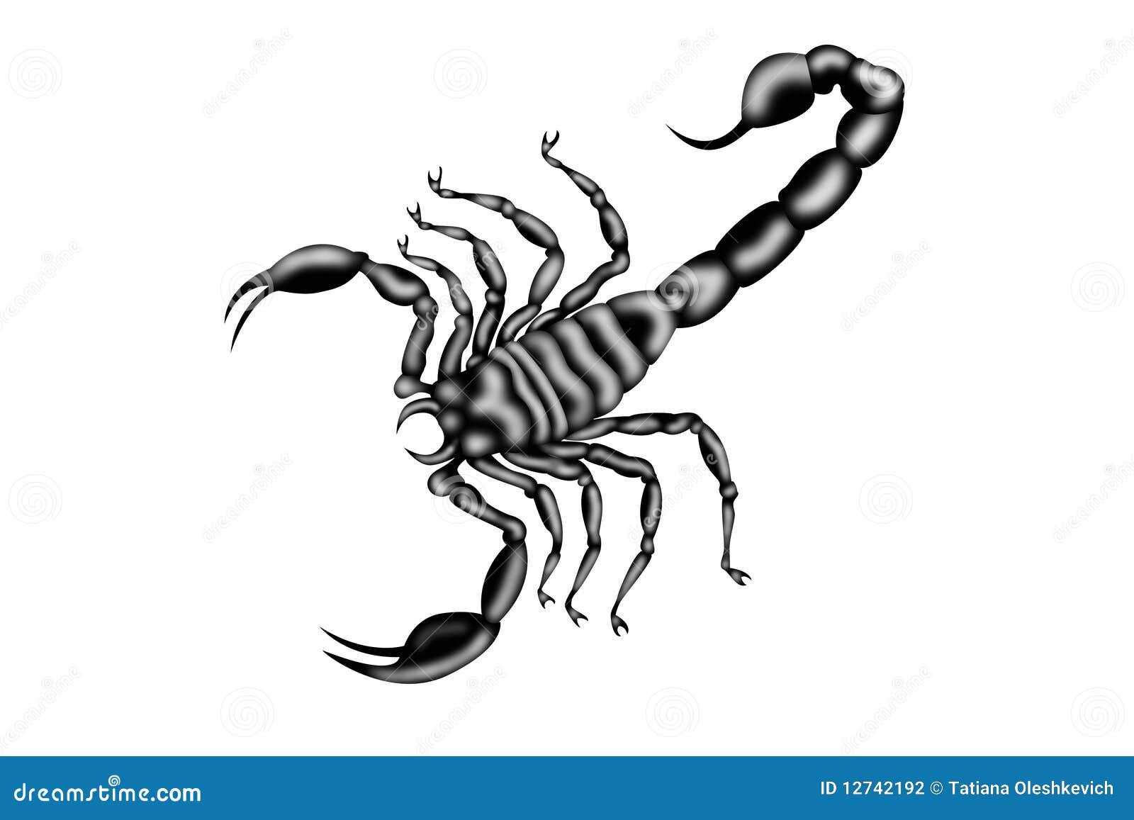 Scorpion Illustration -scorpio Scorpion Scorpions Design ...