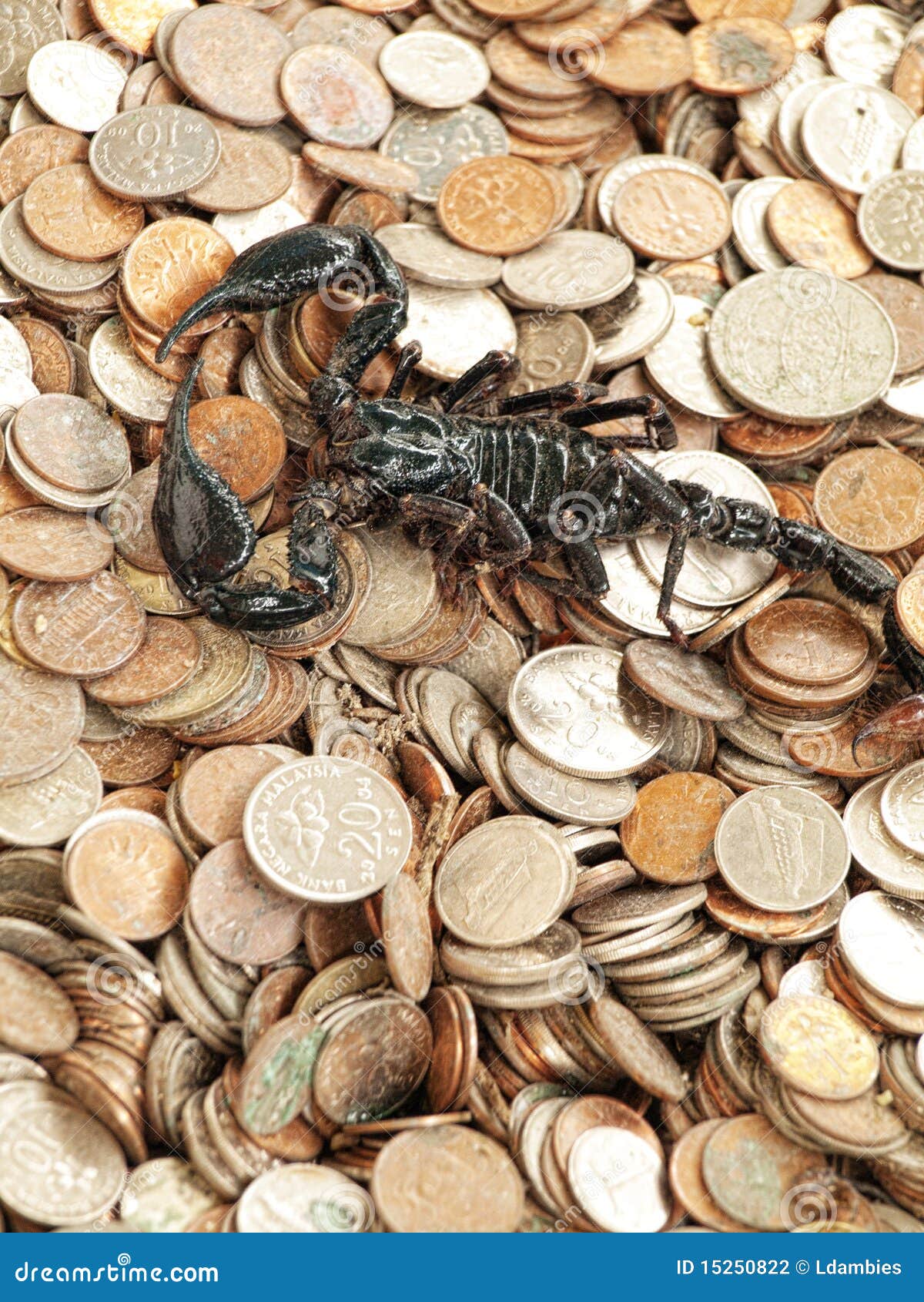 Scorpion with money stock photo. Image of scorpion, scorpio - 15250822