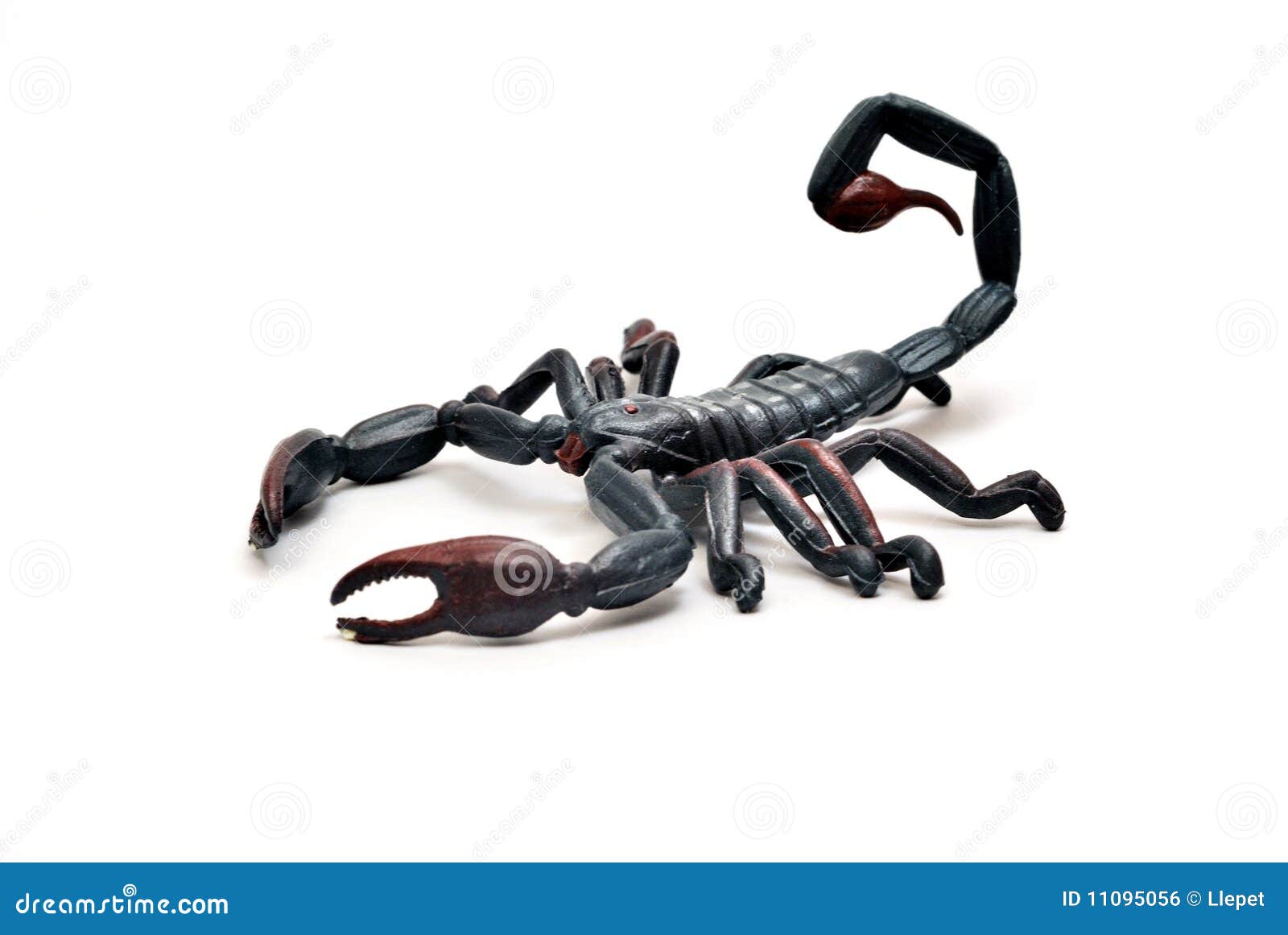 Scorpion toy stock photo. Image of insect, plastic, figure - 11095056