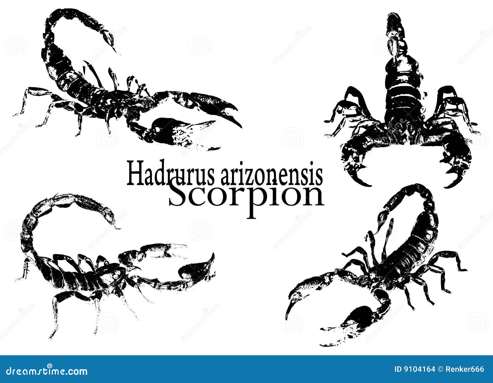 Scorpion vector stock vector. Illustration of vector, death - 9104164