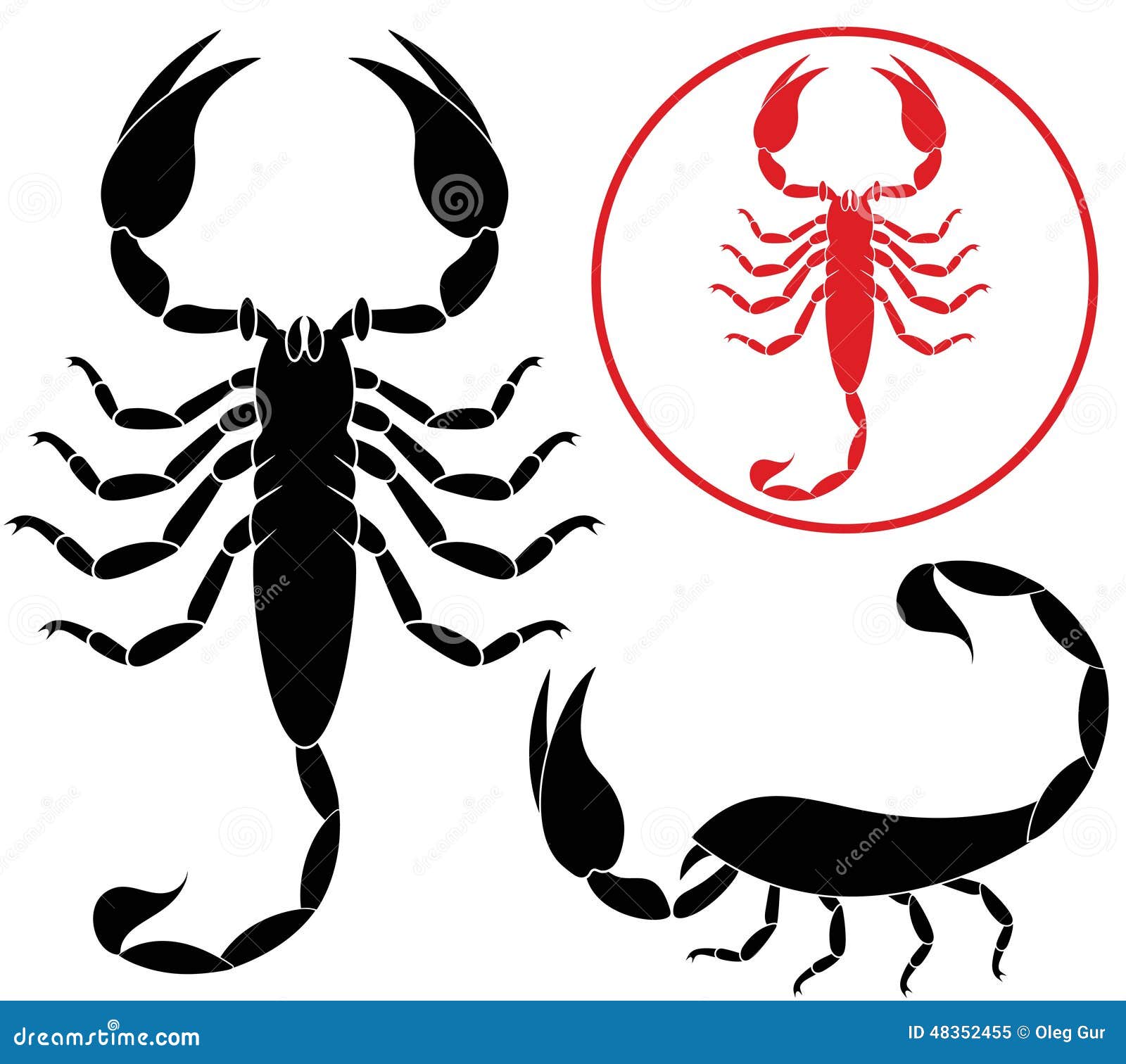 Scorpion stock vector. Illustration of animal, poisonous - 48352455