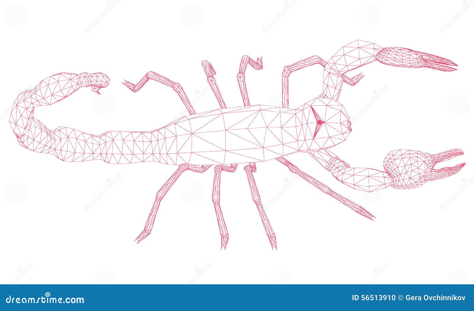 Scorpion stock vector. Illustration of contour, biology - 56513910