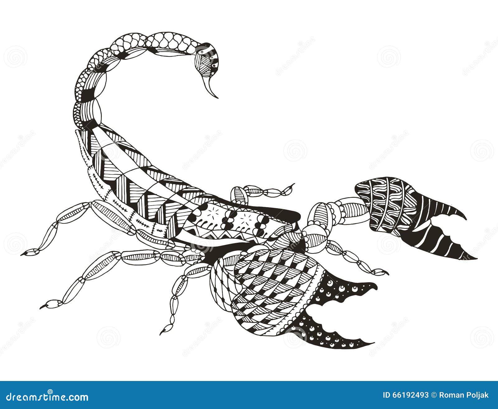 Scorpion Zentangle Stylized, Vector, Illustration, Freehand ... Scorpion Zentangle Stylized, Vector, Illustration, Freehand ...