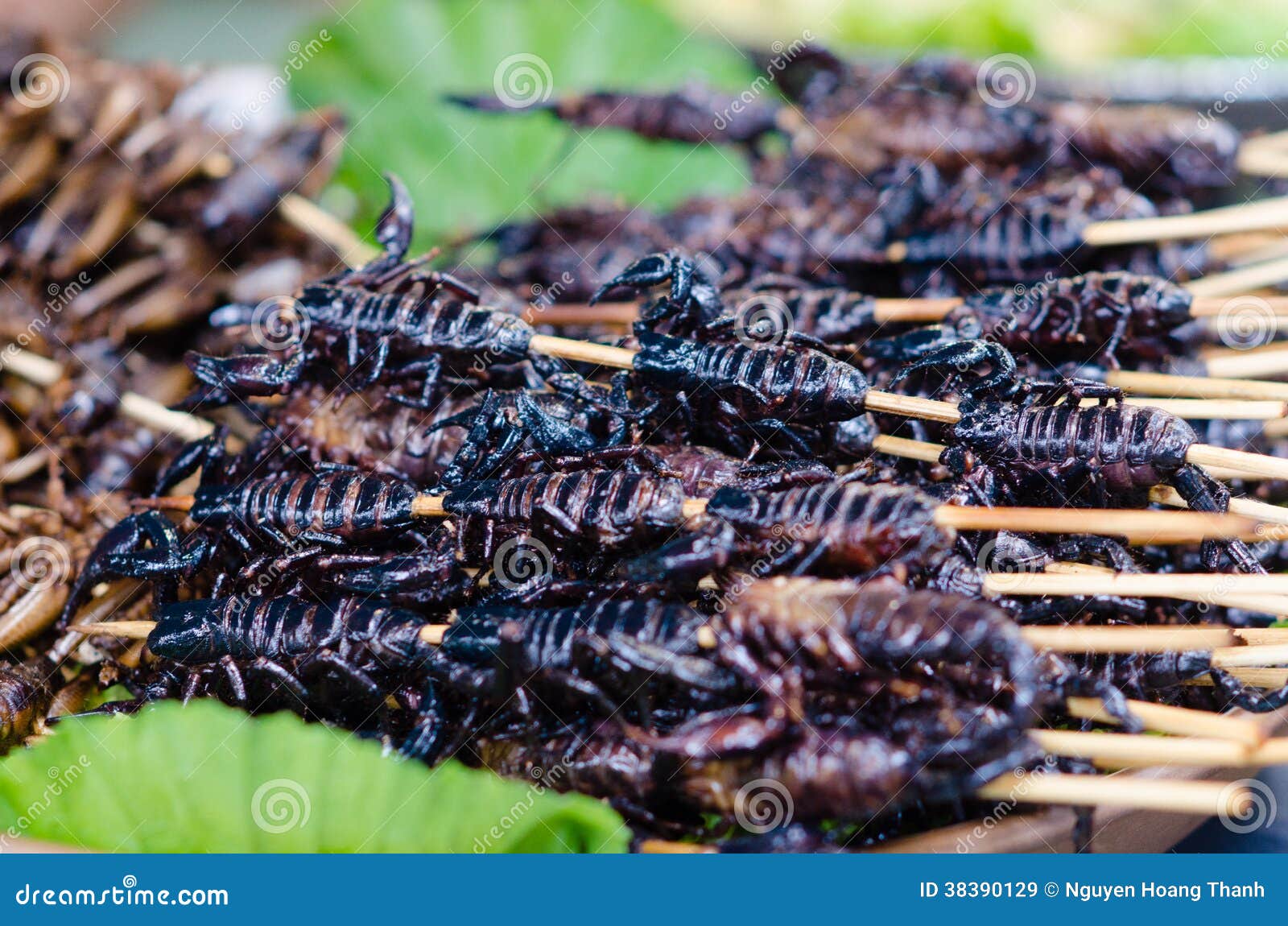 Scorpions food stock image. Image of white, meal, traditional - 38390129