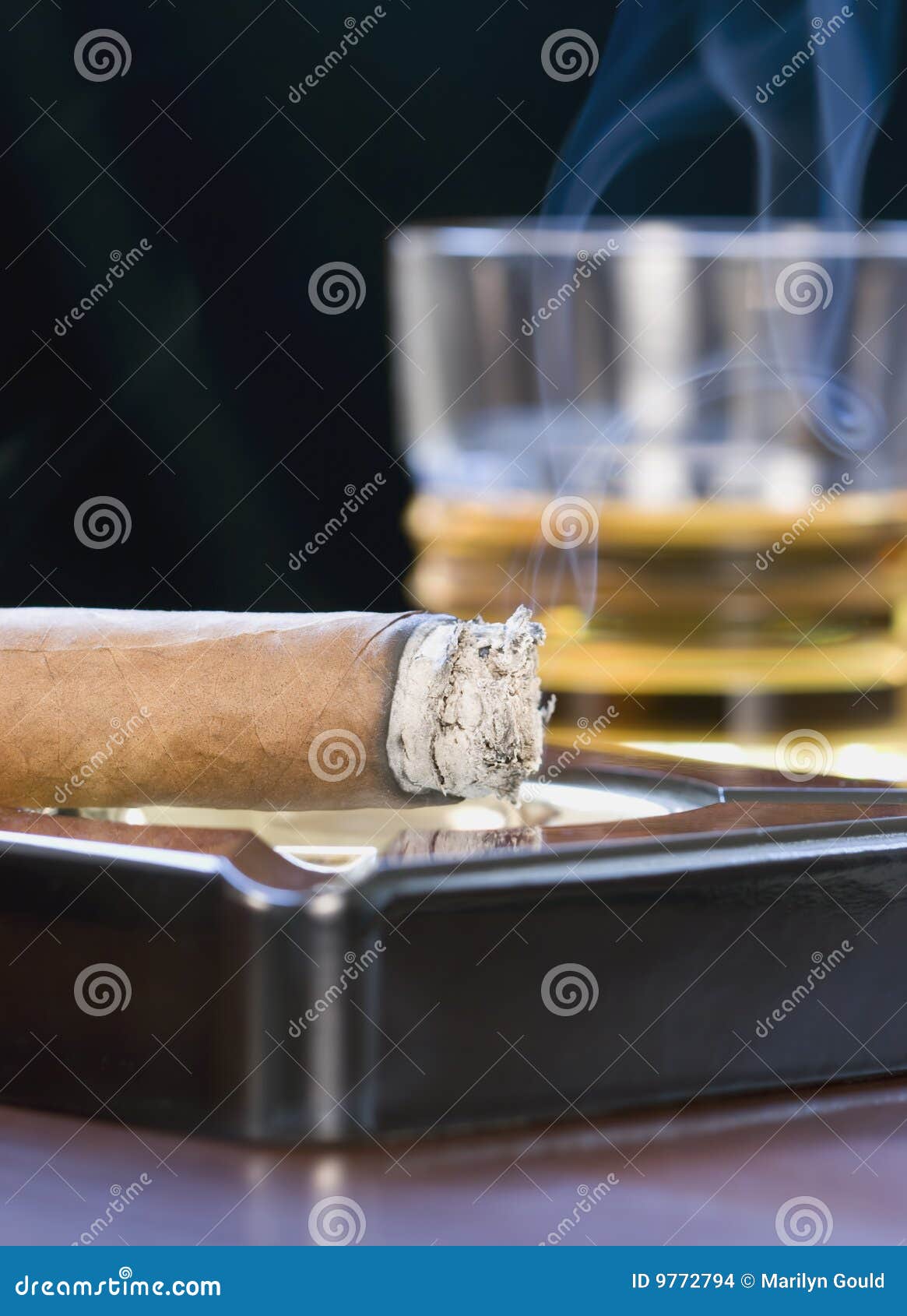 Scotch cigarr arkivfoto. Bild av rök, aseptic, pyra, herre - 9772794