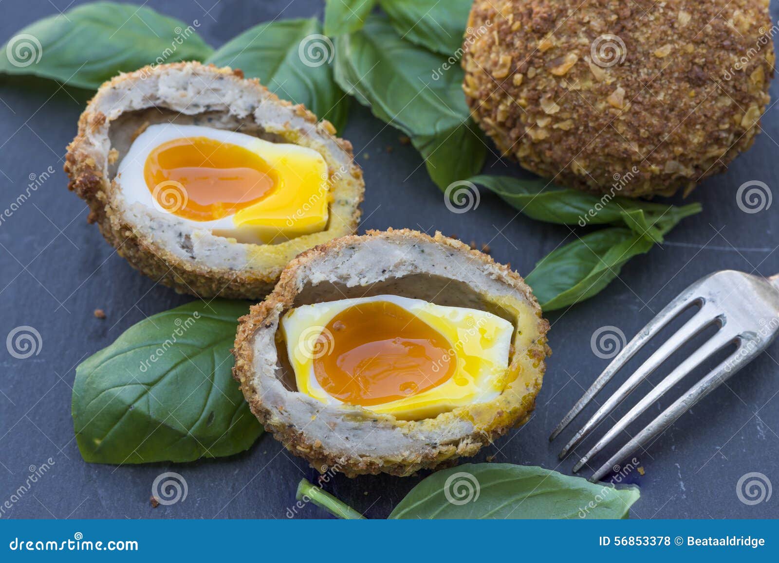 Scotch egg stock photo. Image of fork, portion, healthy - 56853378