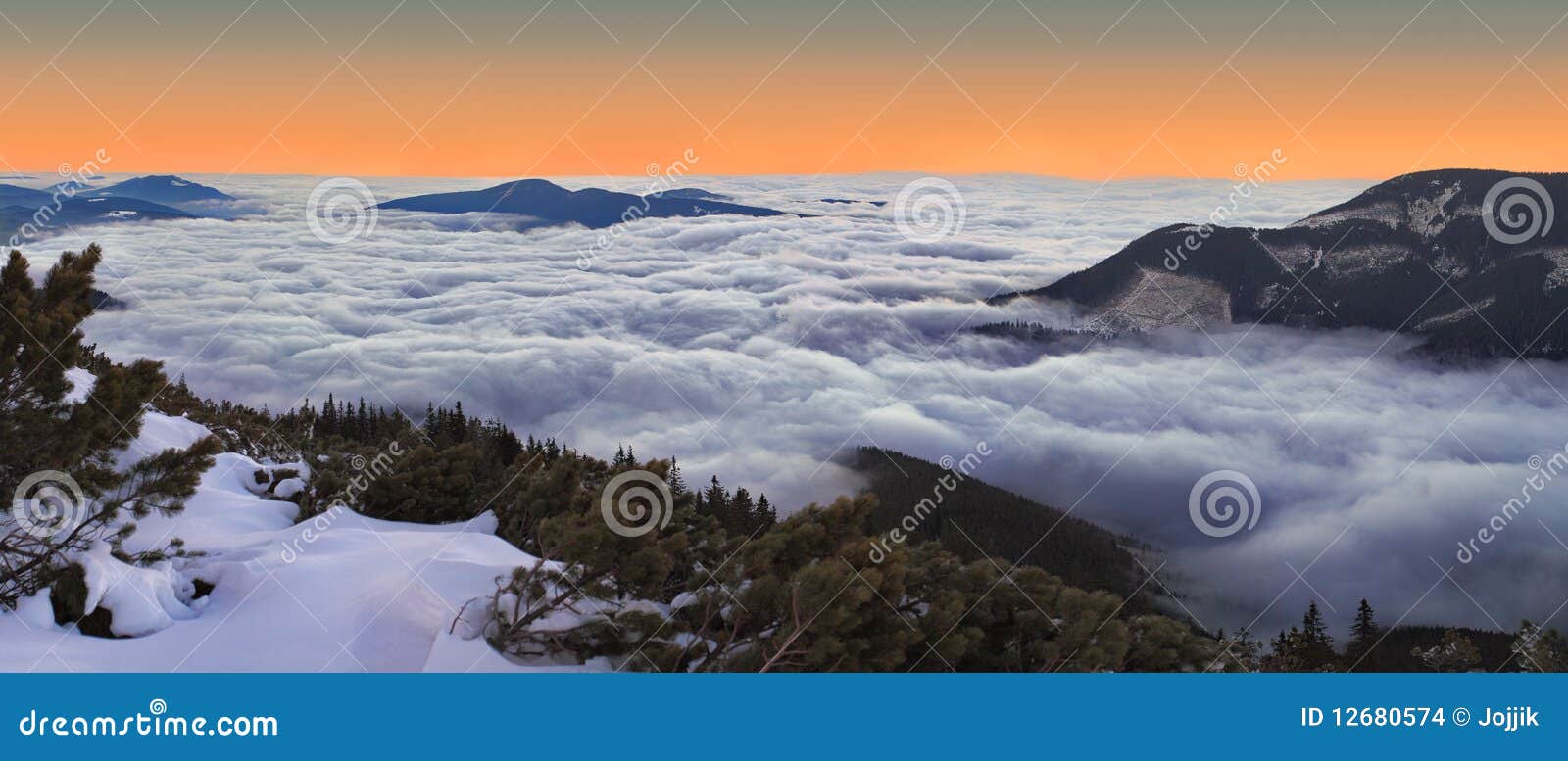 Scotch mist stock photo. Image of smother, sunrise, trees - 12680574