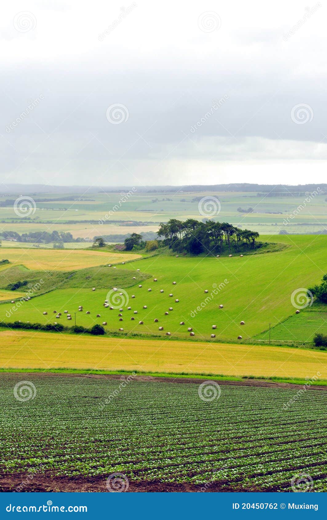 Scotland countryside stock photo. Image of farm, grass - 20450762