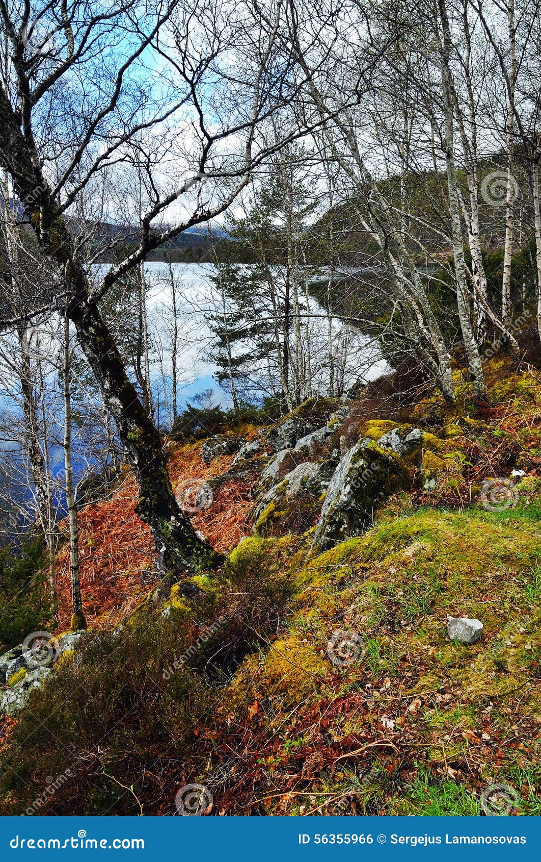 Scotland Highland in Spring Stock Photo - Image of hill, loch: 56355966