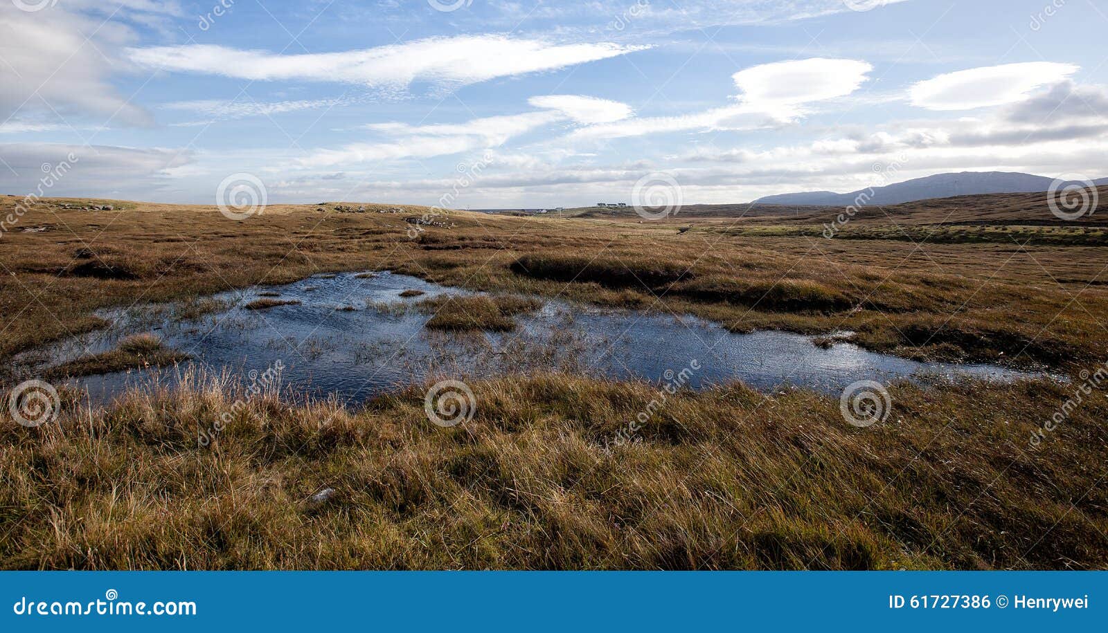 Scotland Moor stock photo. Image of photograph, moody - 61727386