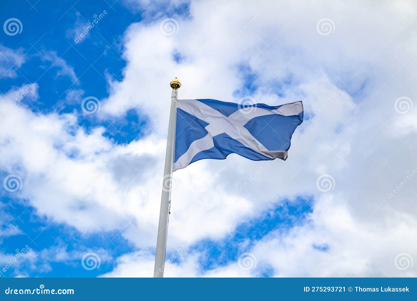Scotland National Flag Waving in the Wind Stock Image - Image of white ...