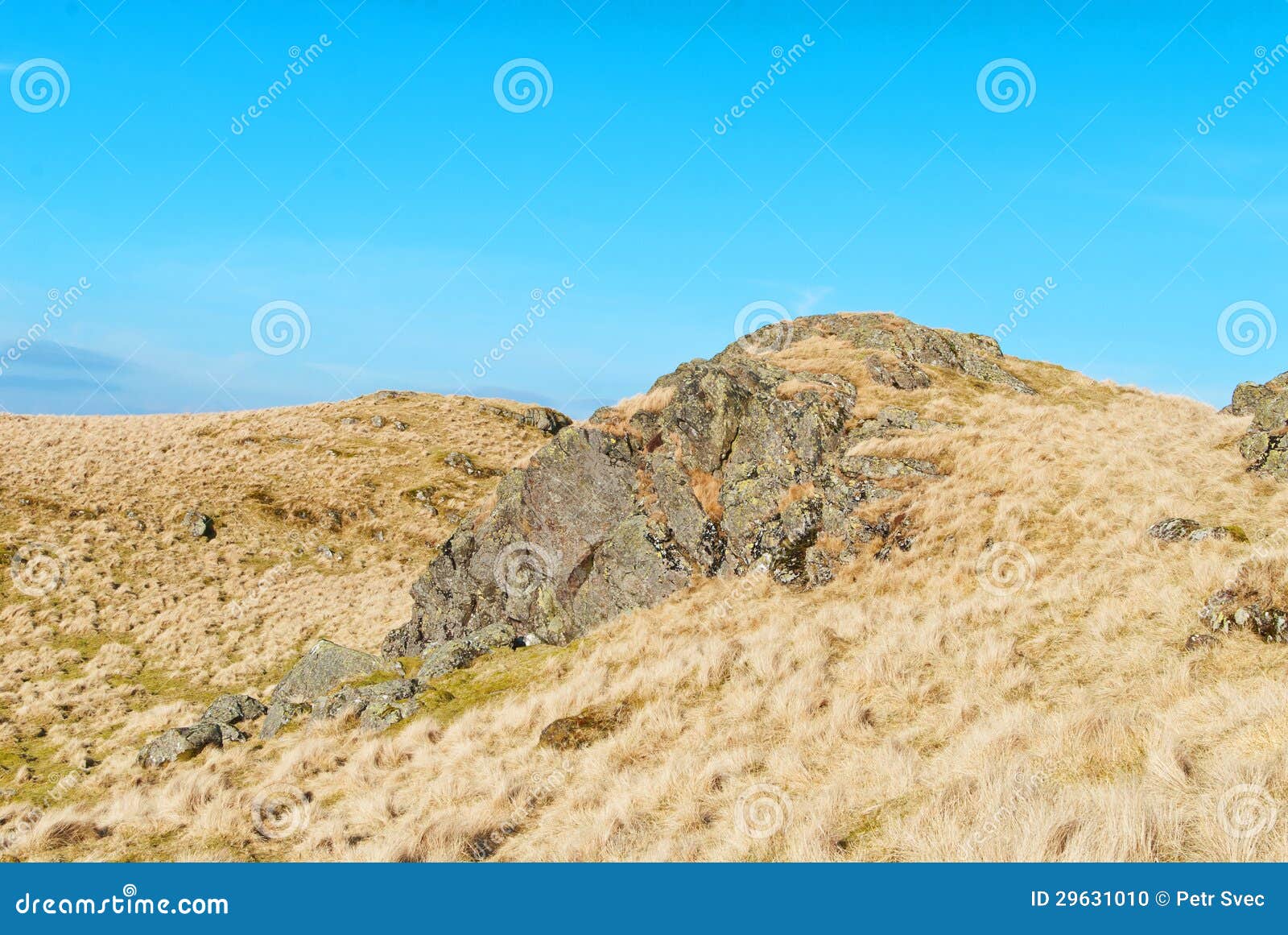 Scottish spring nature stock photo. Image of heather - 29631010