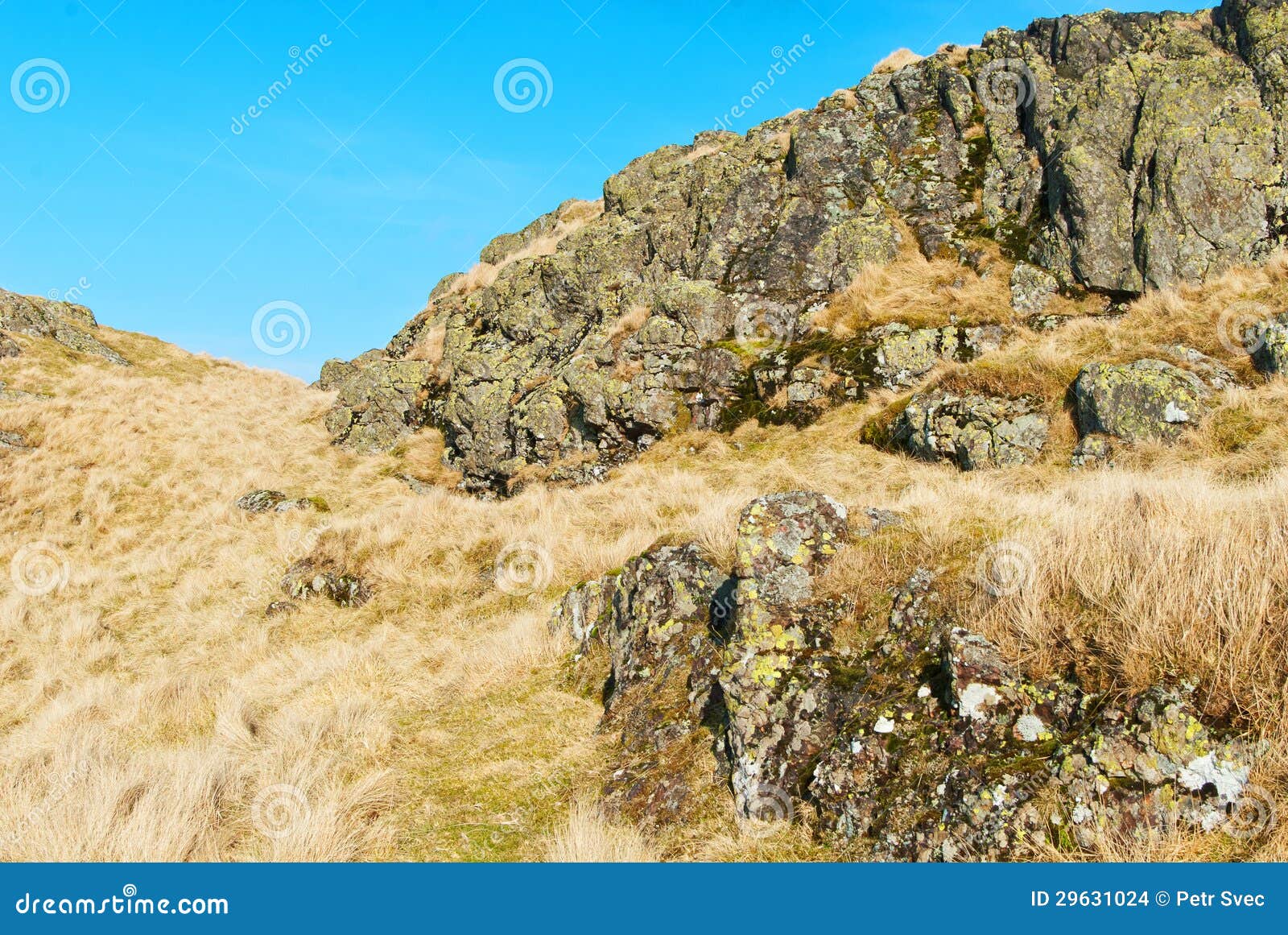 Scottish spring nature stock photo. Image of blue, natural - 29631024