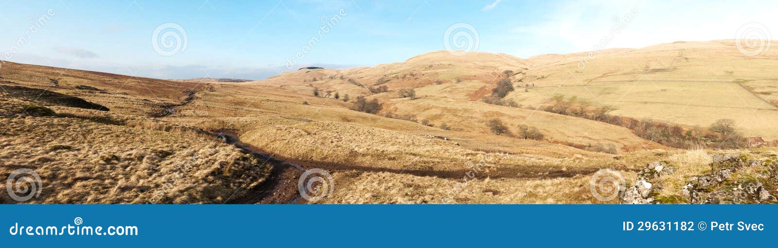Scottish spring nature stock photo. Image of rock, grass - 29631182
