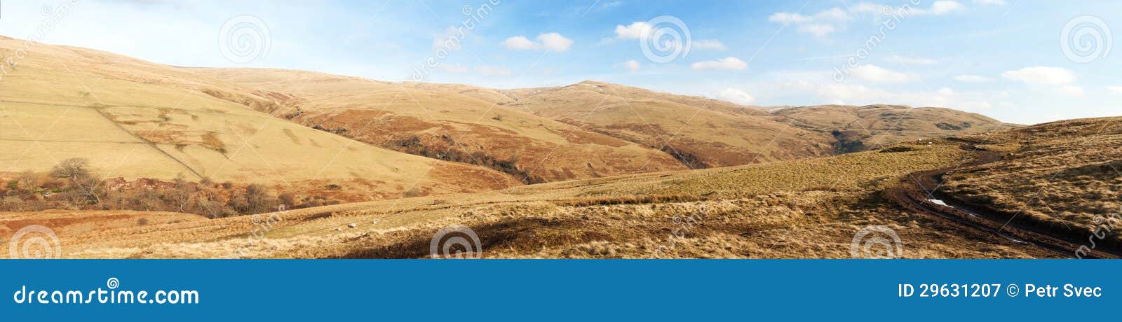 Scottish spring nature stock image. Image of kingdom - 29631207
