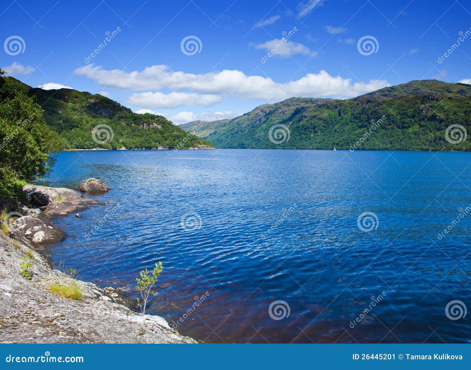 Scotland, summer landscape stock image. Image of national - 26445201