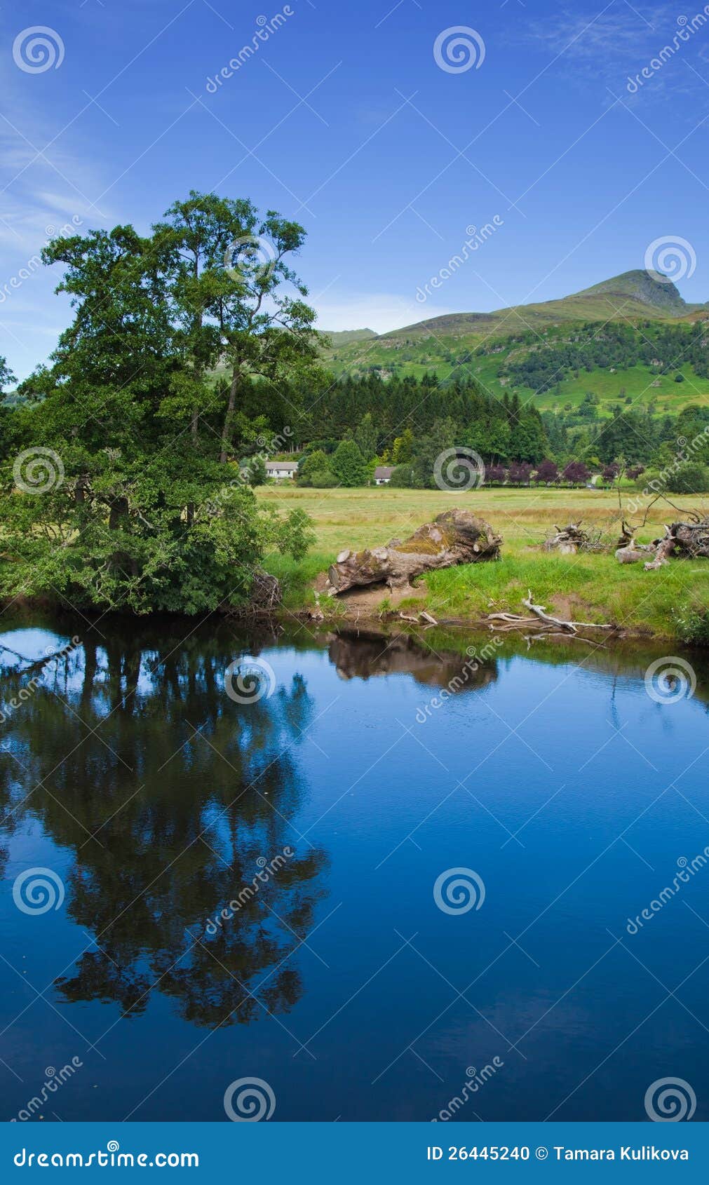 Scotland, summer landscape stock photo. Image of river - 26445240