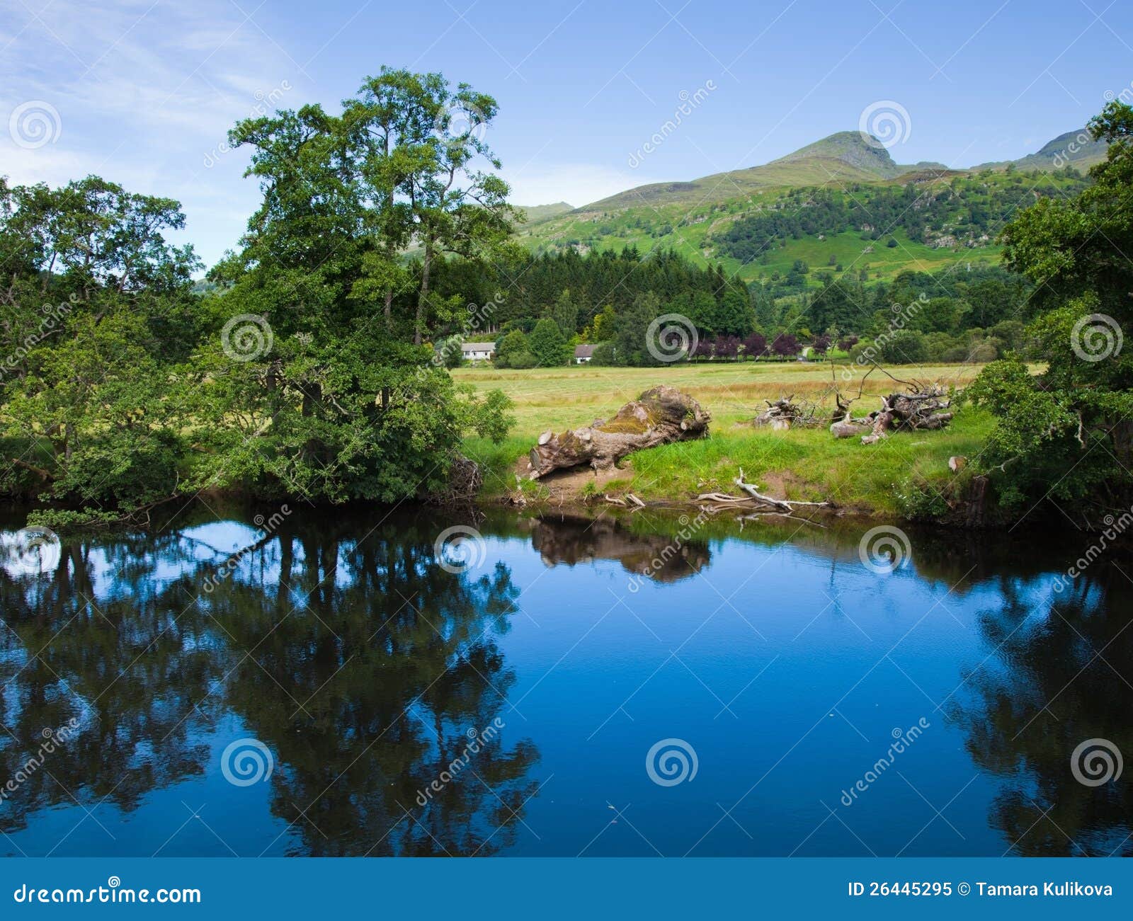 Scotland, summer landscape stock image. Image of gentle - 26445295