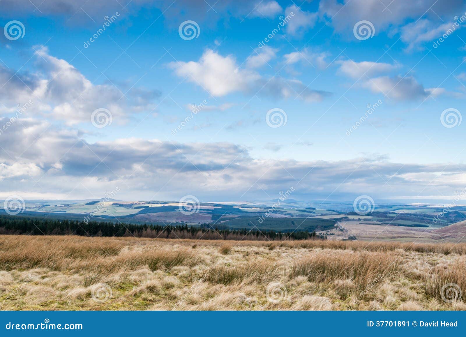 Scotland Viewed from Carter Bar Stock Image - Image of english ...