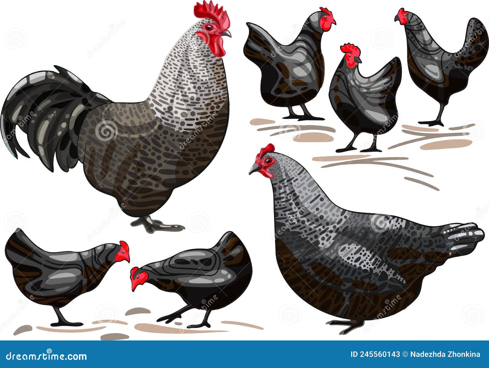 Scots dumpy stock vector. Illustration of dumpy, black - 245560143