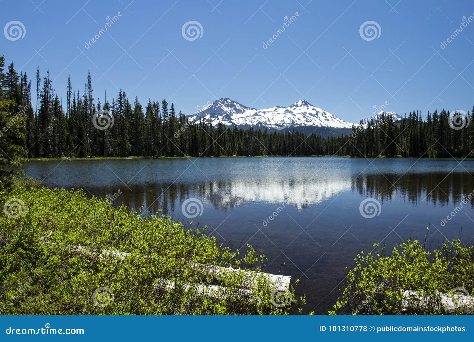 Scott Lake Oregon Bild. Bild: 101310778
