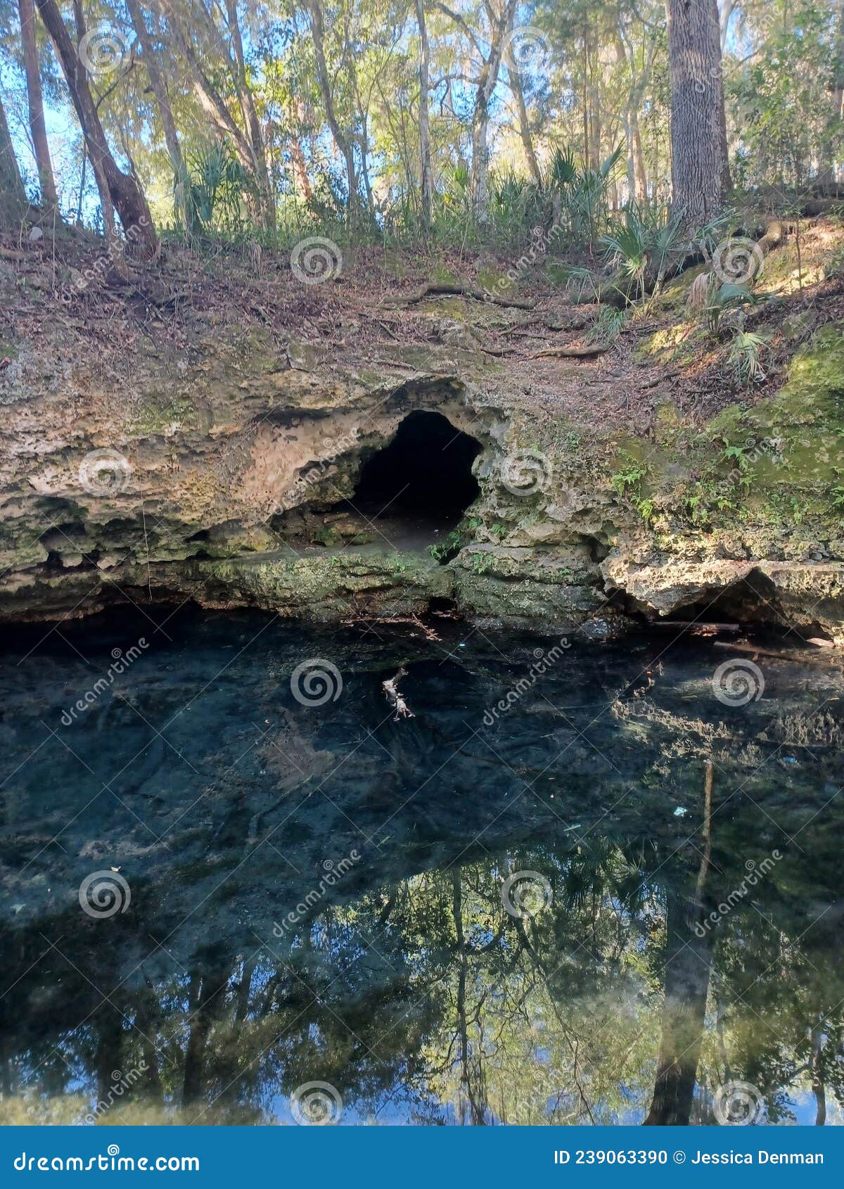 Scott Springs Park Ocala Florida Stock Photo - Image of springs, scott ...