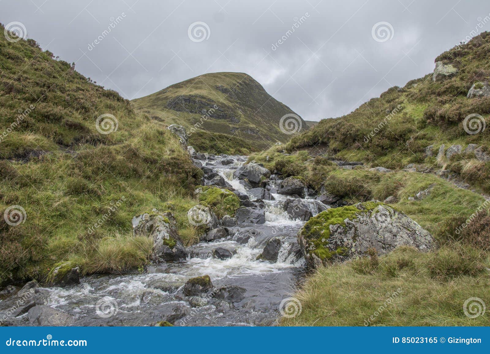 Scottish Burn. stock image. Image of mountain, high, greymares - 85023165