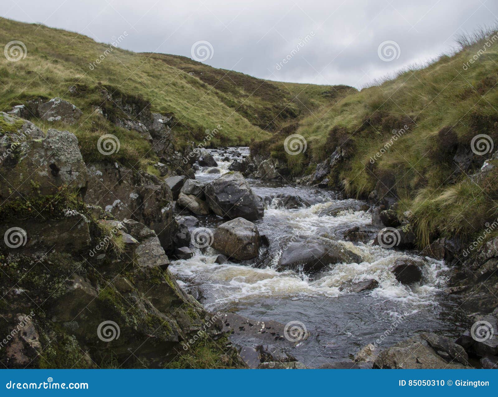 Scottish Burn. stock photo. Image of flowing, burn, skeen - 85050310