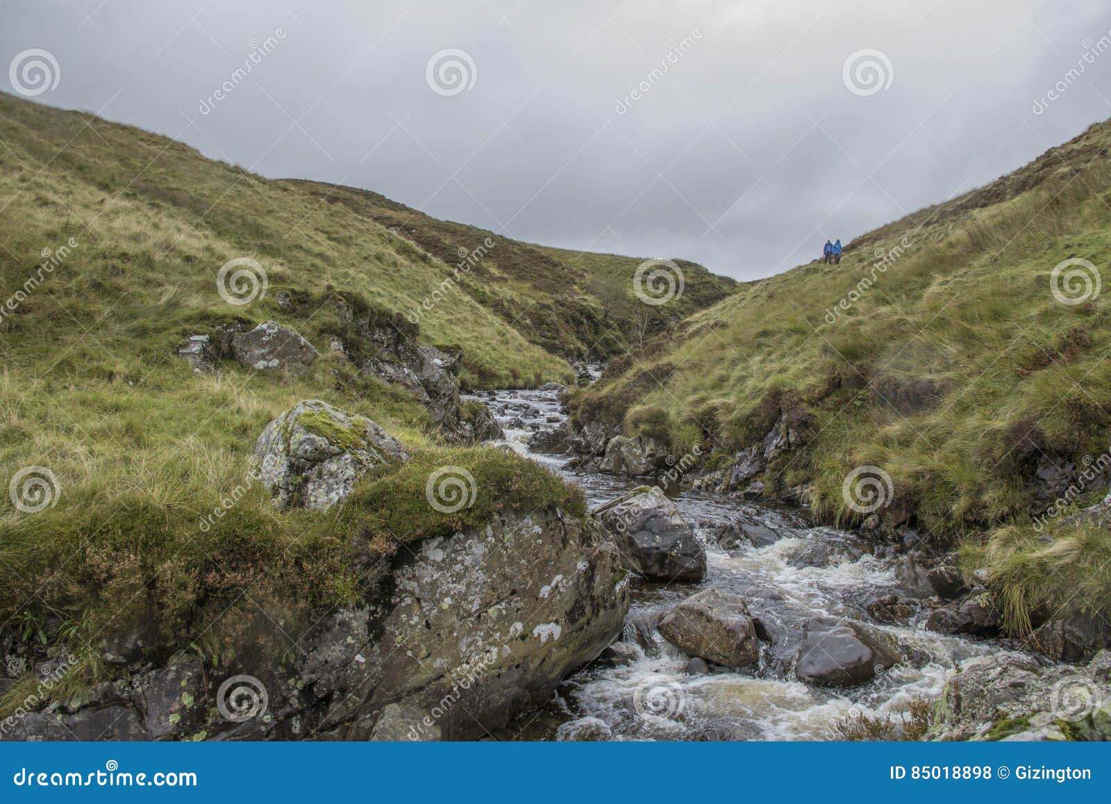 Scottish Burn stock photo. Image of travel, environment - 85018898