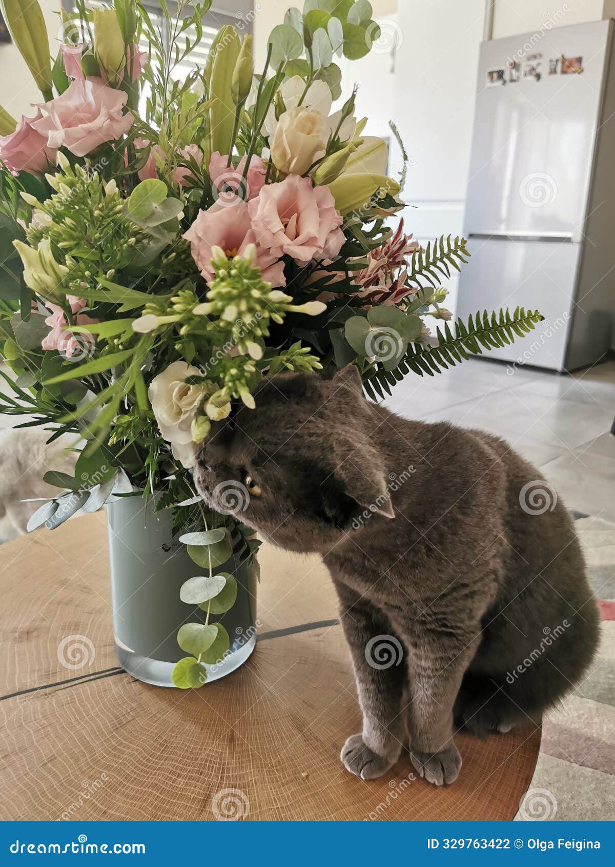 Cat Sniffs a Bouquet of Flowers Stock Photo - Image of smell, cheerful ...