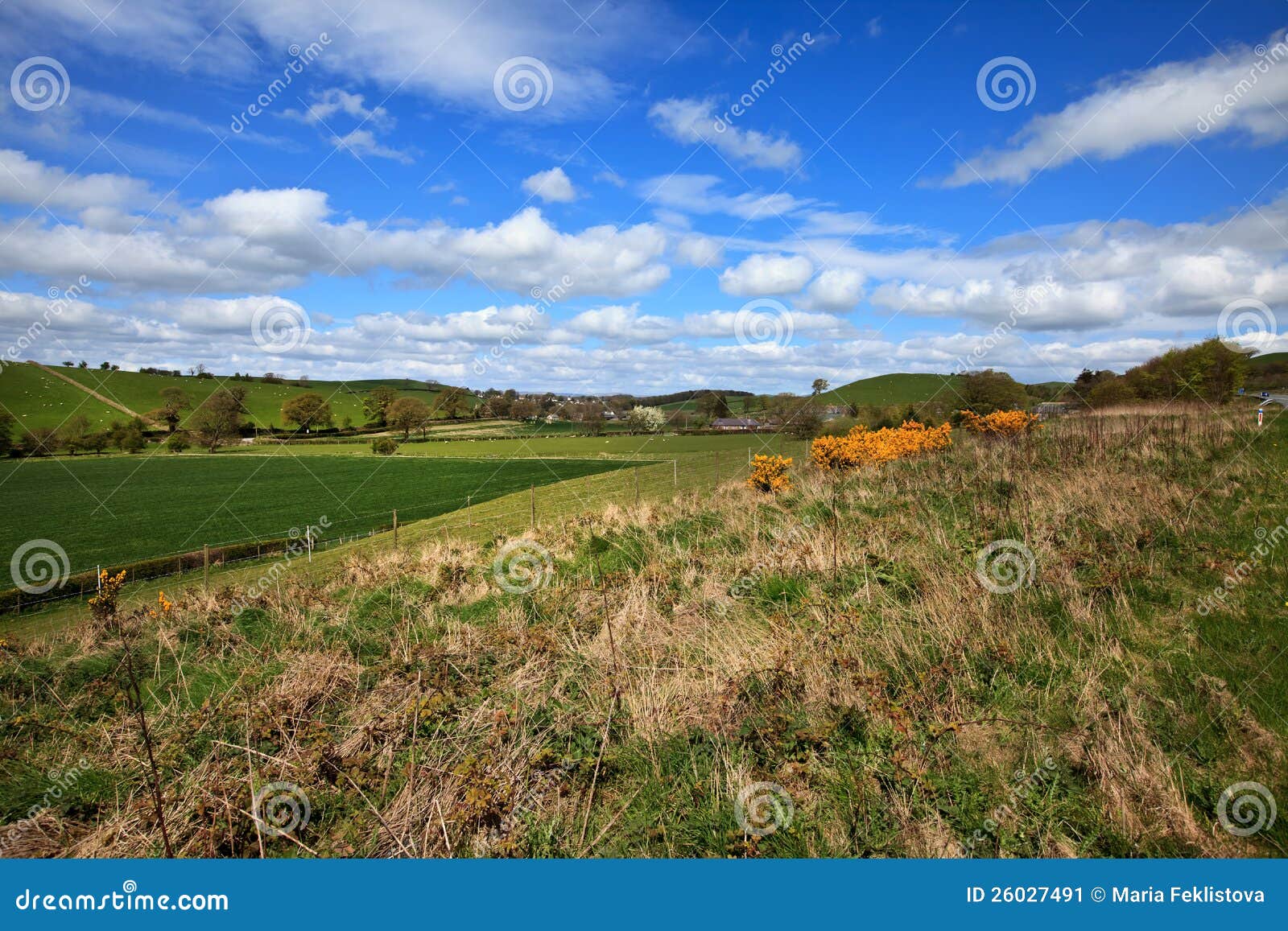 Scottish fields stock image. Image of breathtaking, green - 26027491