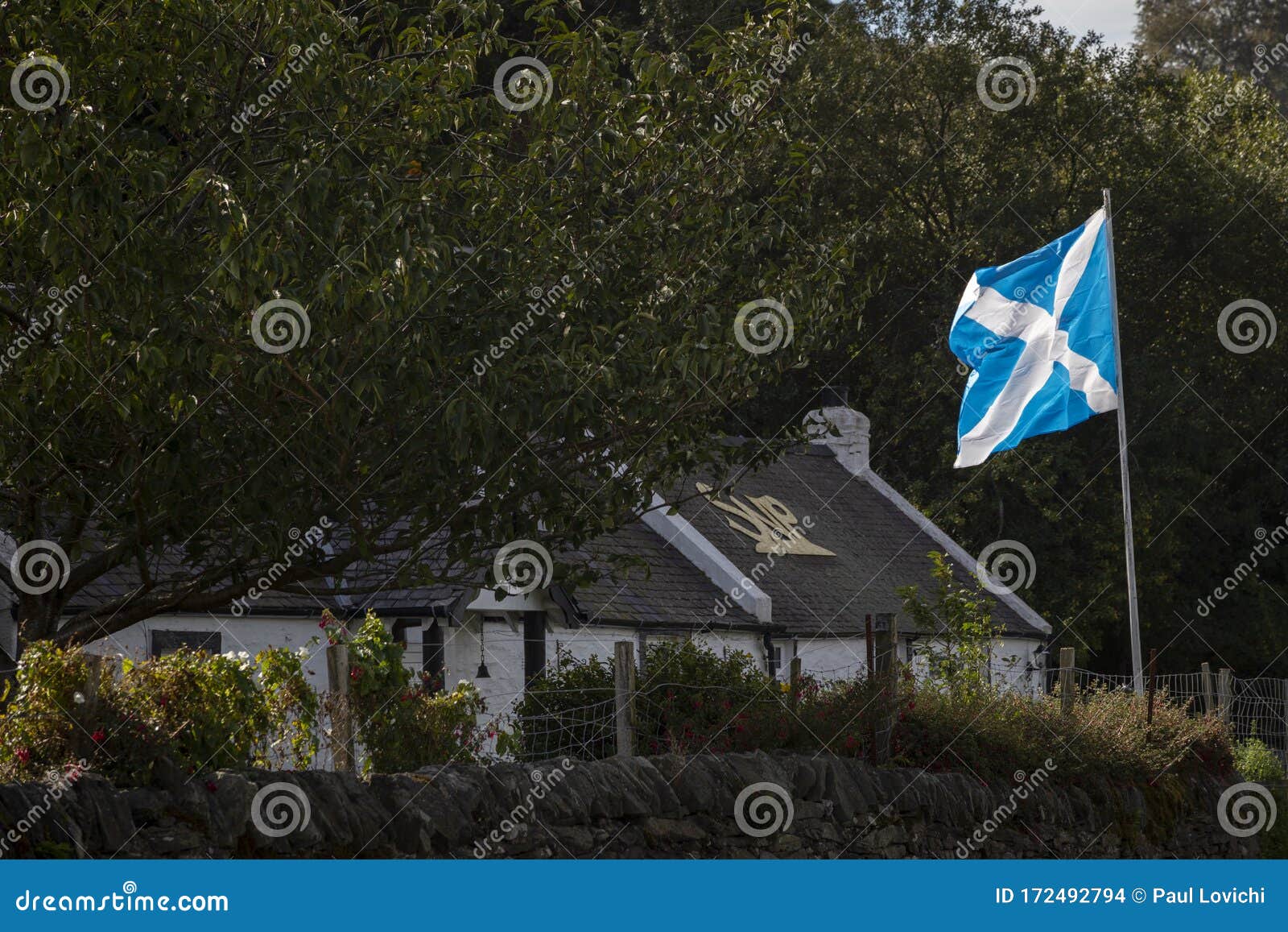 Scottish Flag Flying on Arran Editorial Stock Image - Image of proud ...